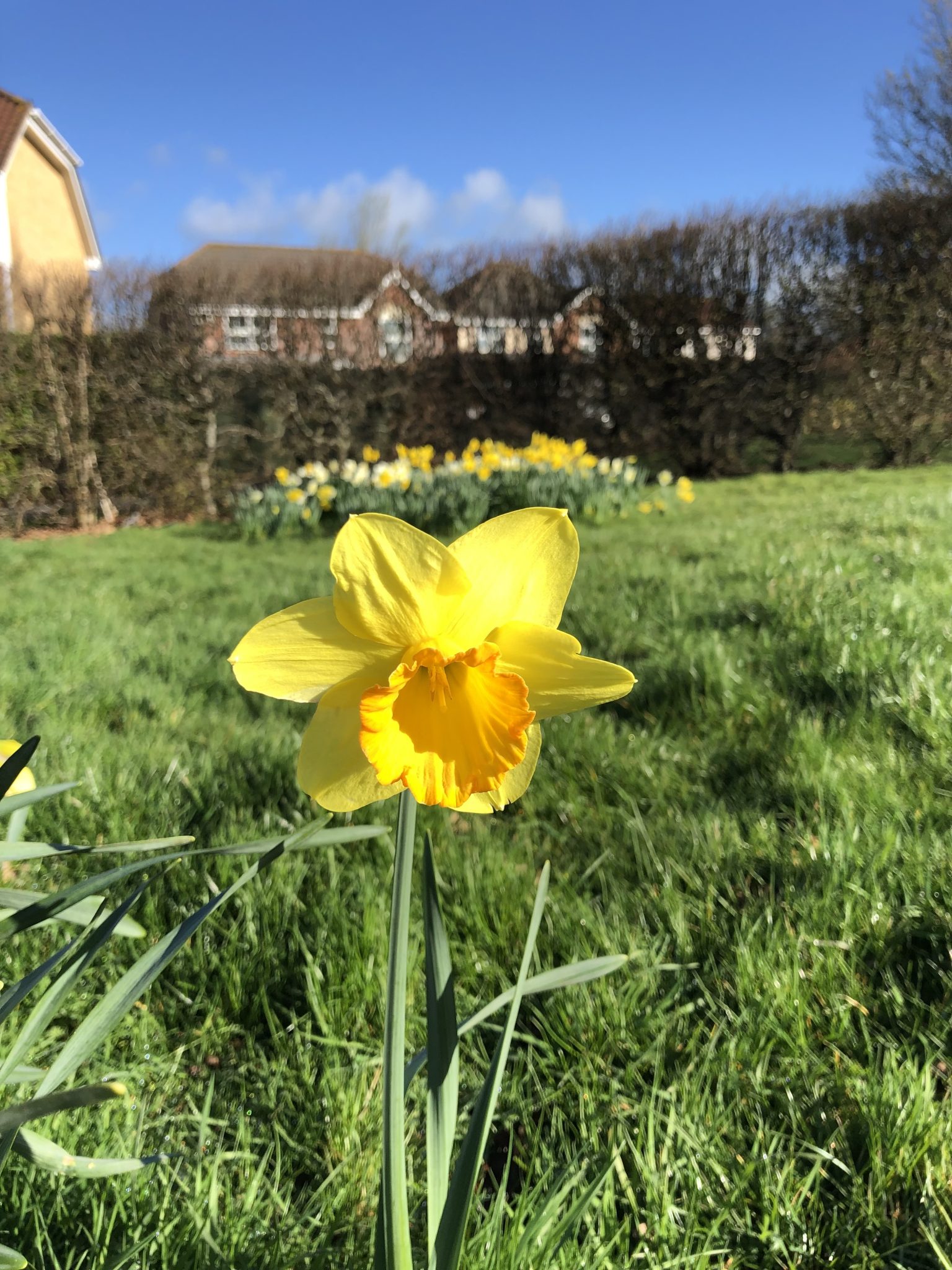 Gallery - Emersons Green Town Council