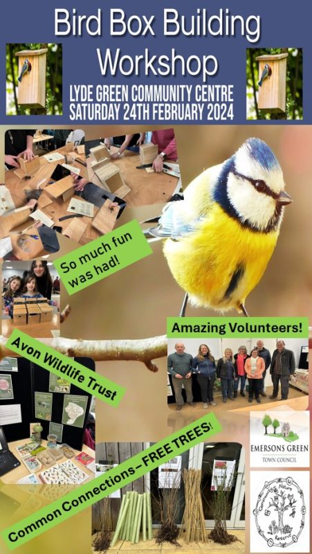 Bird Box Building Workshop - Emersons Green Town Council